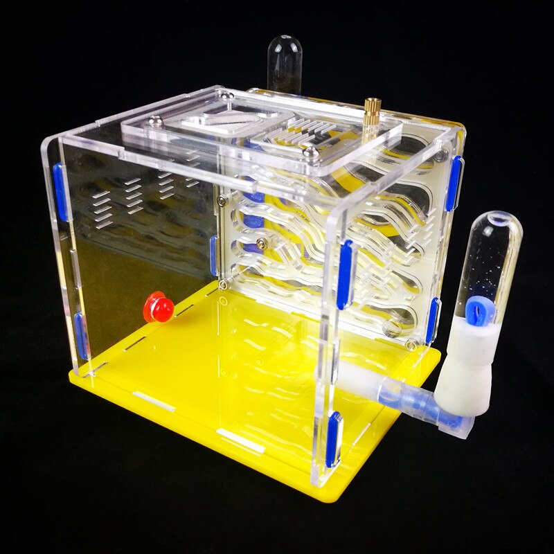 Ant Nest R1 Insect Pet Cage Farm Nest With Feeding... – Grandado