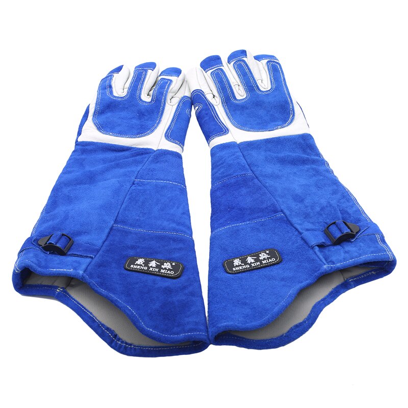 Leather Animal Handling Training Pet Gloves Rescui... – Grandado