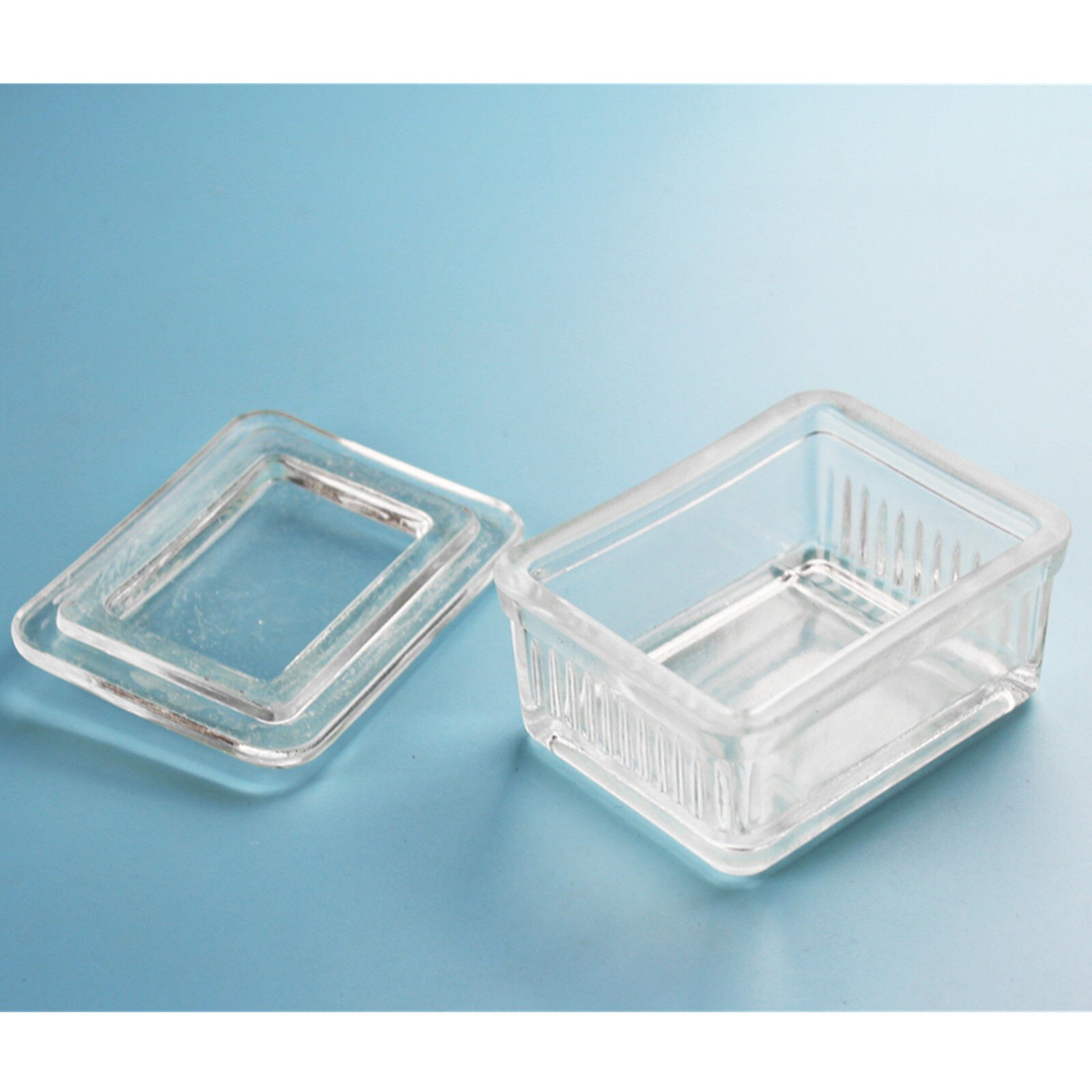 Laboratory Glass Coplin Staining Jar With Cover,10... – Vicedeal