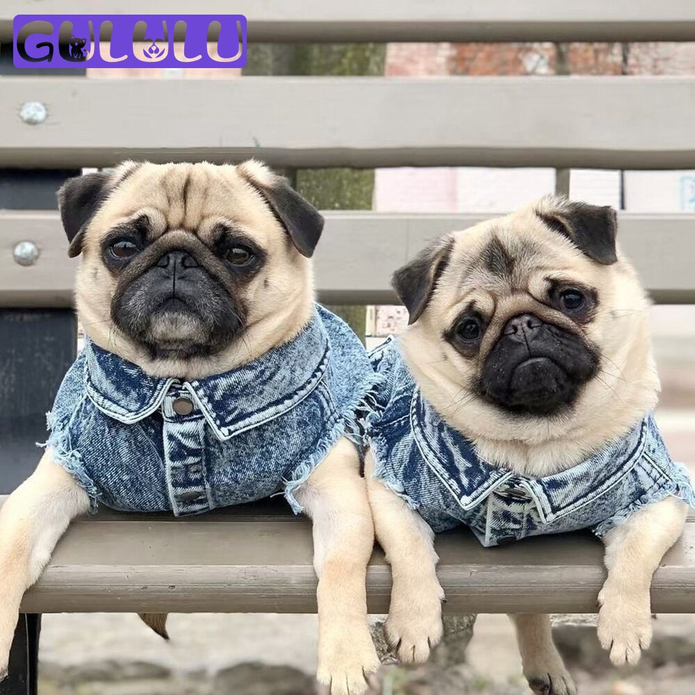 Denim Dog Jacket Cowboy Pet Cat Dog Clothes Puppy ... – Grandado