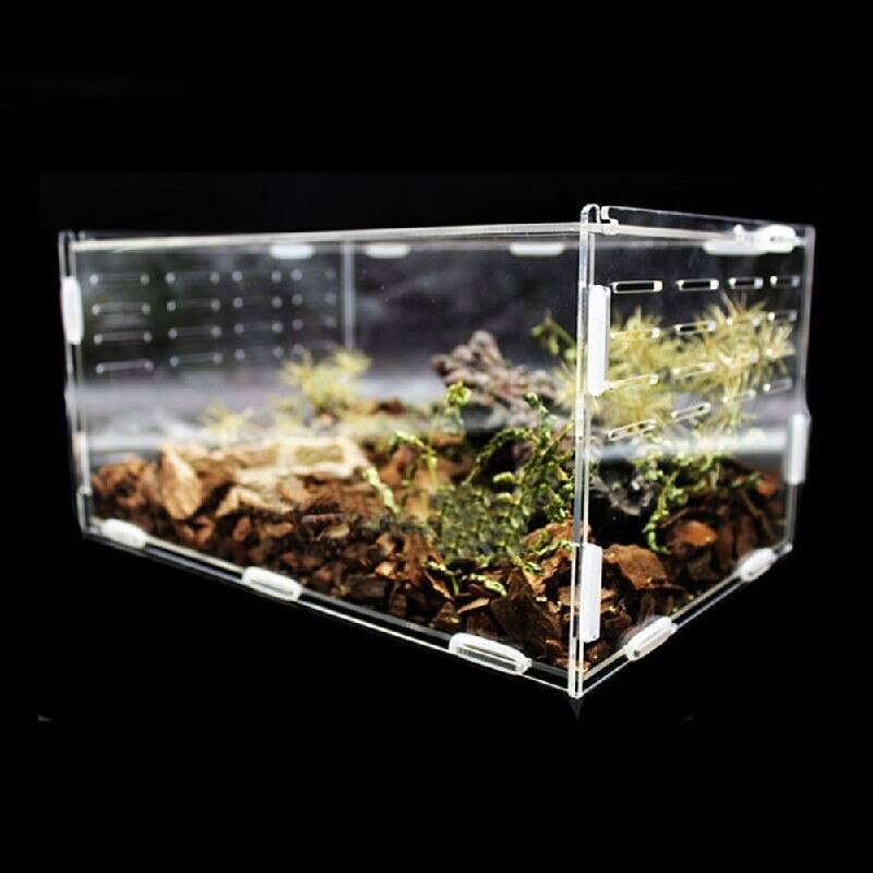 Transparent Acrylic Reptile Box for Spiders Tortoi... – Vicedeal