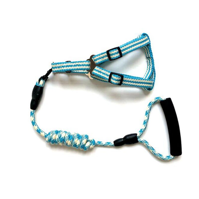 dog leashes dog supplies traction rope small mediu... – Vicedeal