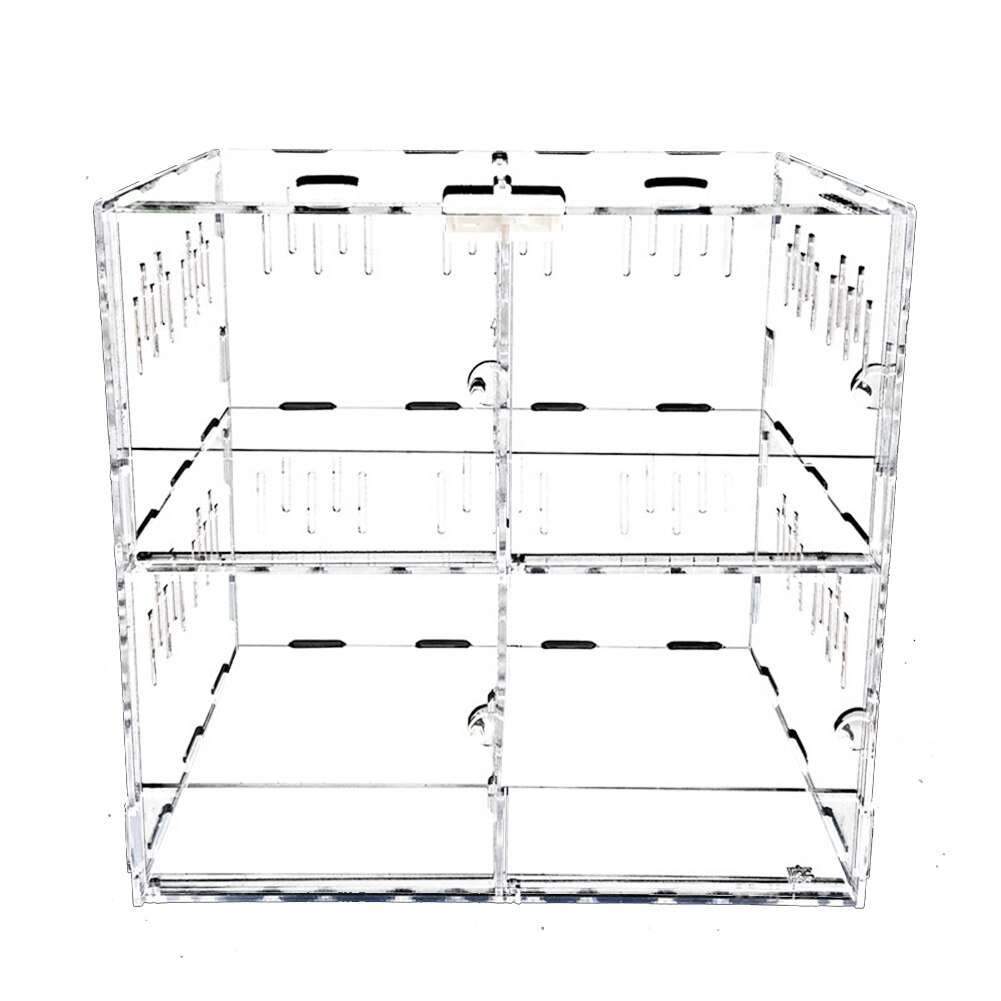 Reptile Feeding Box Multi-crawl Climbing Pet Box A... – Vicedeal