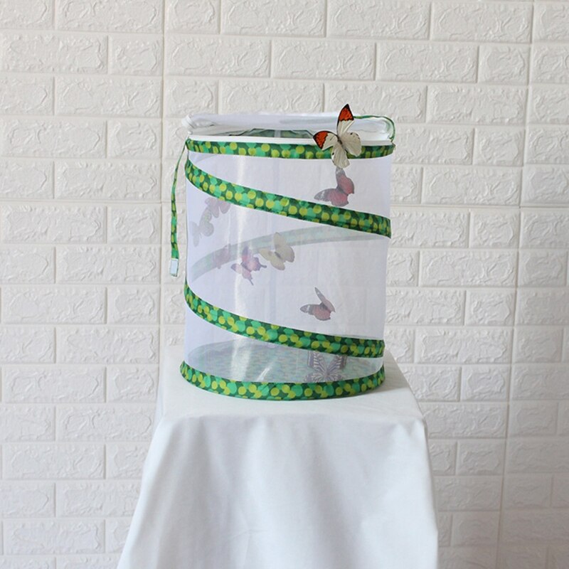 Insect and Butterfly Habitat Cage Terrarium Insect... – Vicedeal