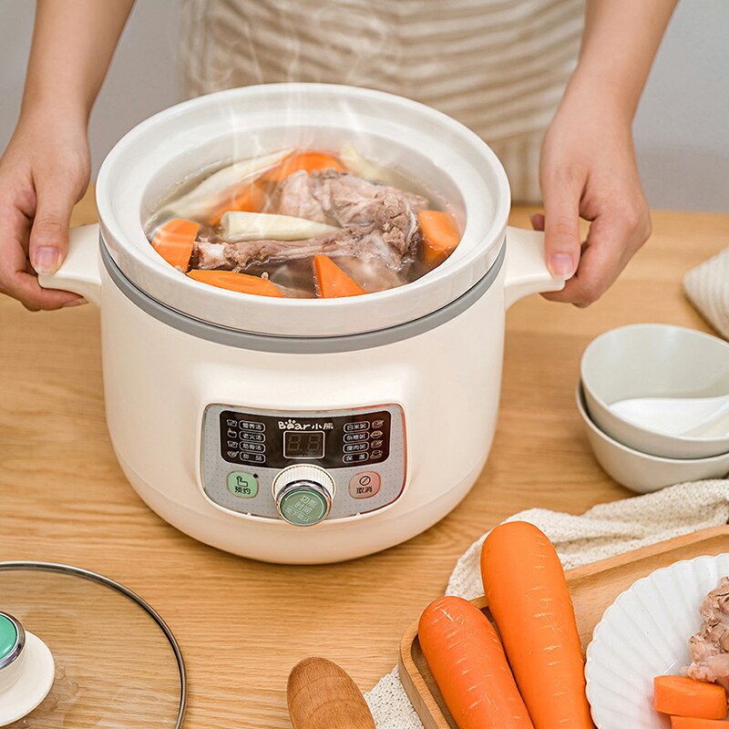 220V 3L Mini Electric Stewing Machine Ceramic Auto... – Grandado