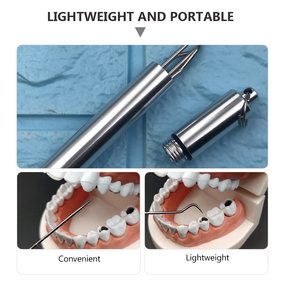 1 Set of Stainless Toothpicks Tooth Pickers Tooth ... – Grandado