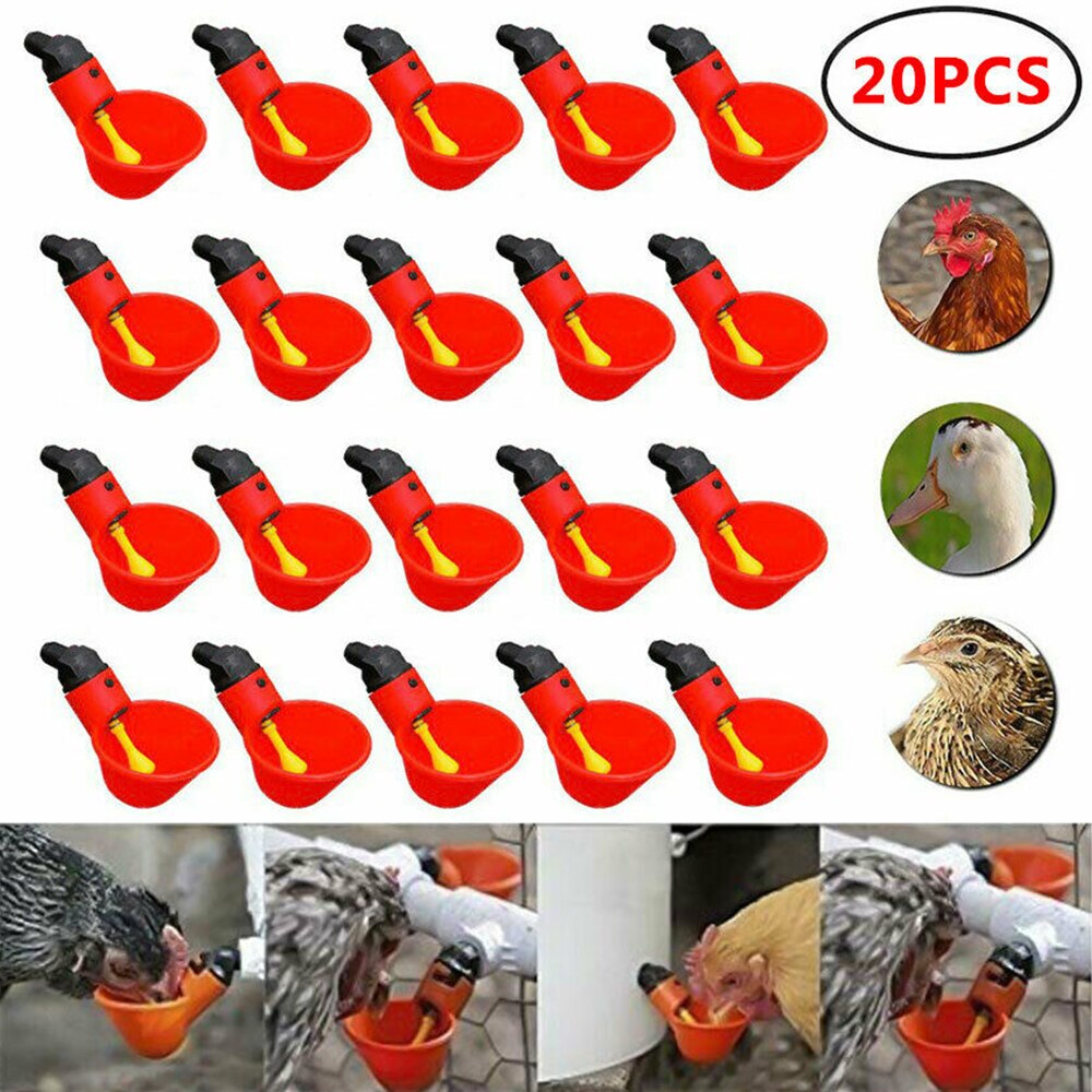 20pcs Automatic Chicken Drinker Poultry Water Drin... – Grandado