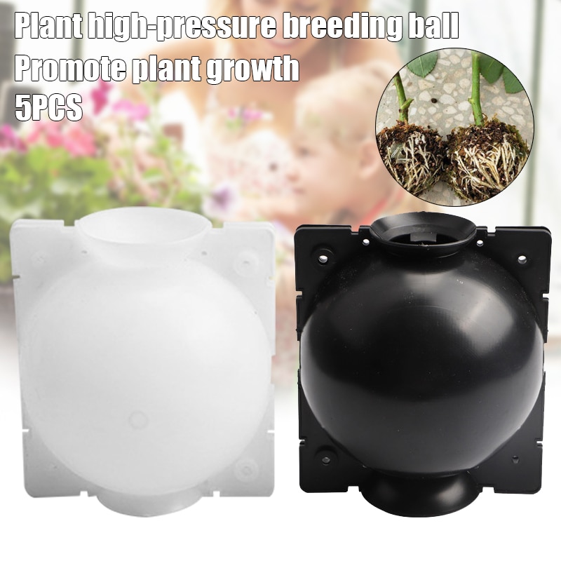 5pcs 5CM/8CM plant root growing box Ball Grafting ... – Vicedeal