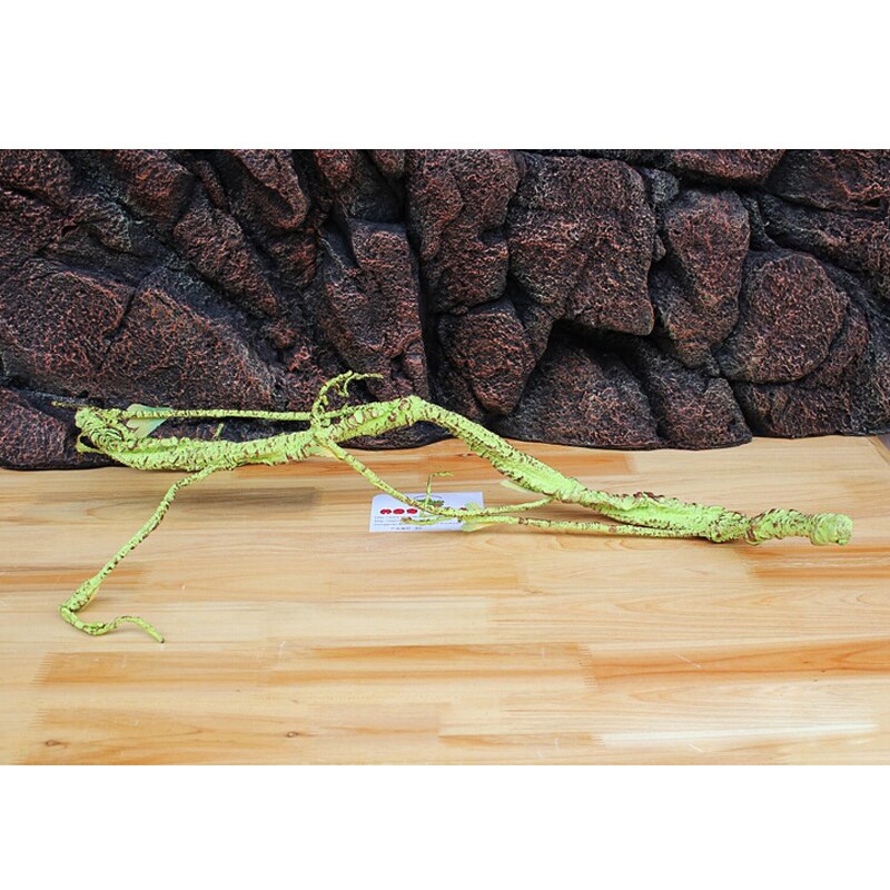 Rainforest Plants Vines Reptile Simulation Rattan ... – Vicedeal Rainforest Plants Vines Reptile Simulation Rattan ... – Vicedeal