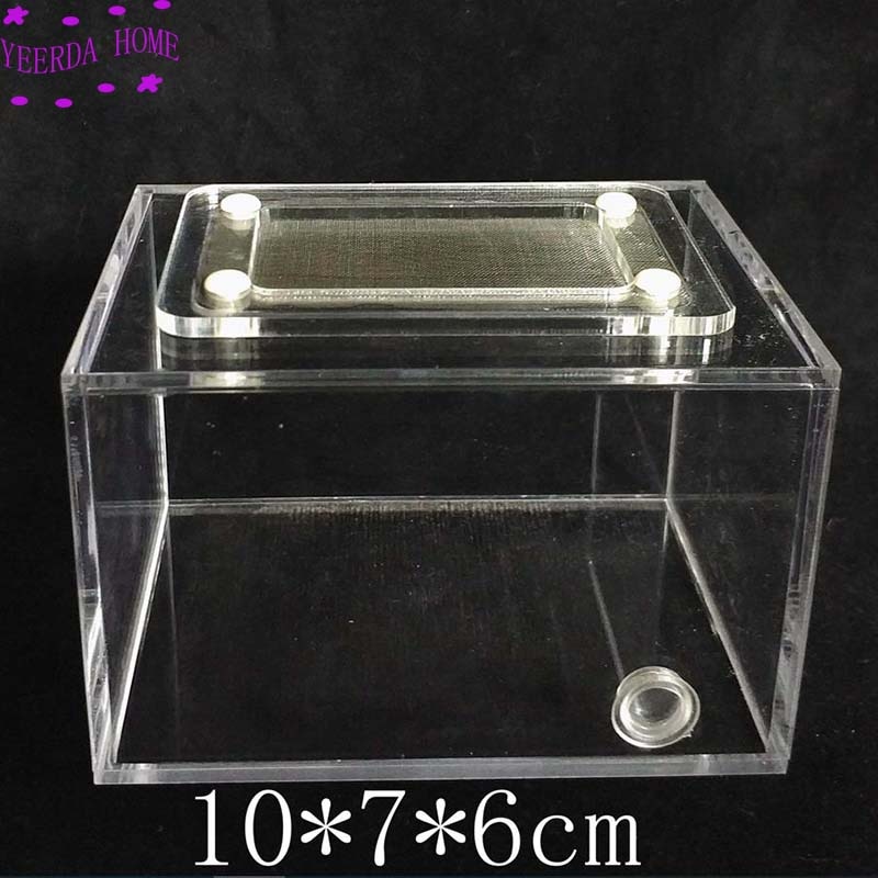 10x7x6cm Ant Reptile Box with Breathable Net Feedi... – Vicedeal