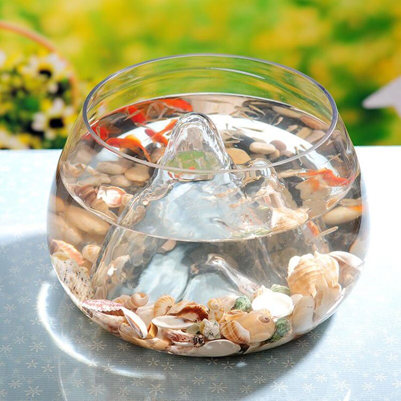 O.RoseLif Handmade Aquarium Transparent Bowl Fight... – Grandado
