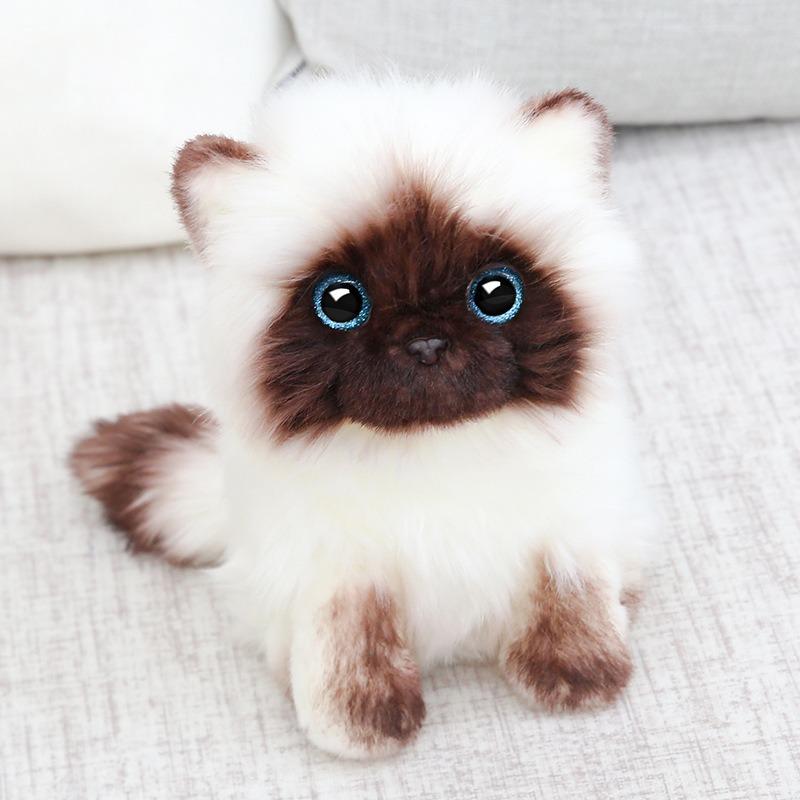 20/26cm Simulated Siamese Cat Plush Toy Fidgety To... – Grandado