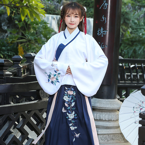 Hanfu Dress Embroidery Ancient Costume Women Tang ... – Grandado