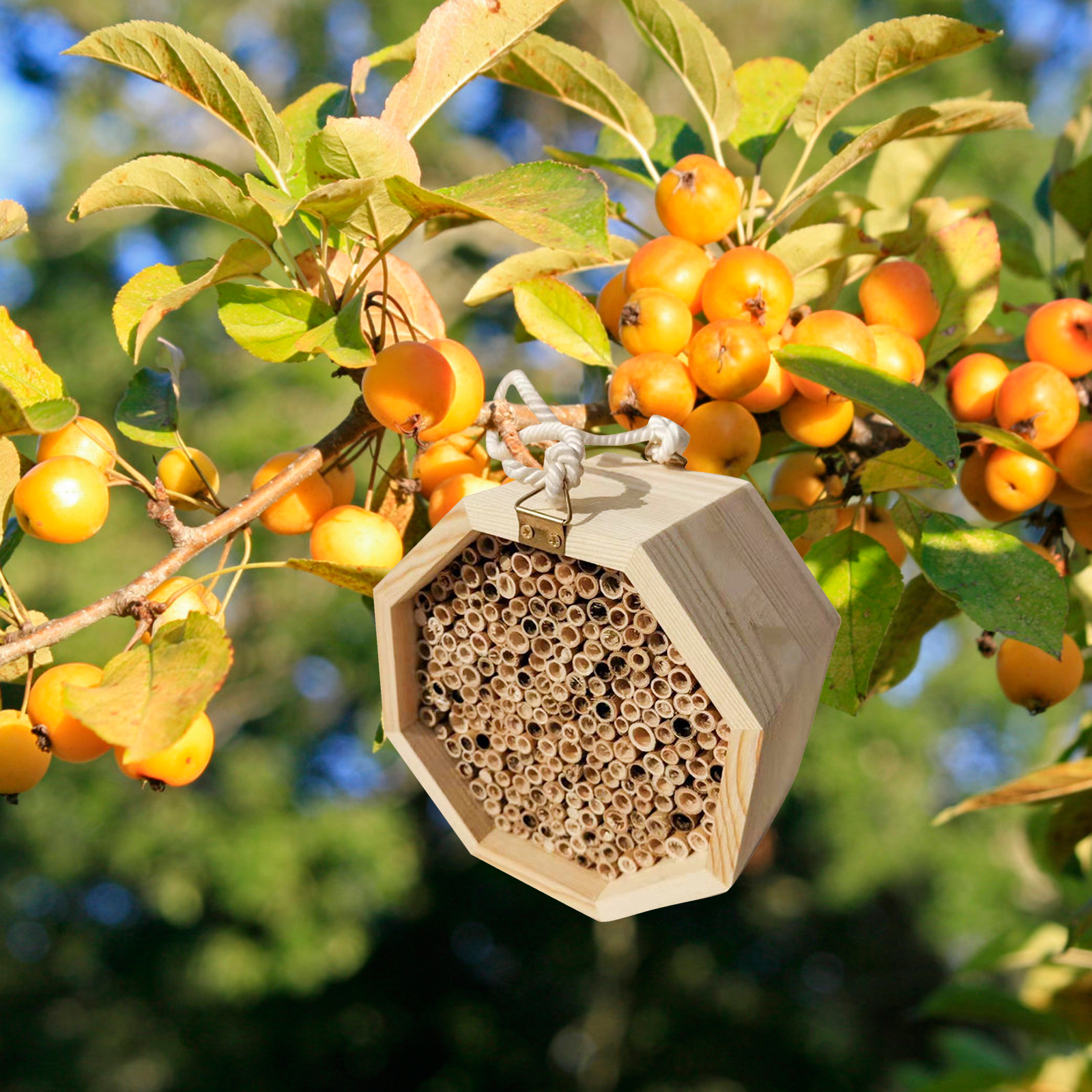 1 PC Honeycomb Natural Bamboo Wooden Insect Bee Ho... – Grandado