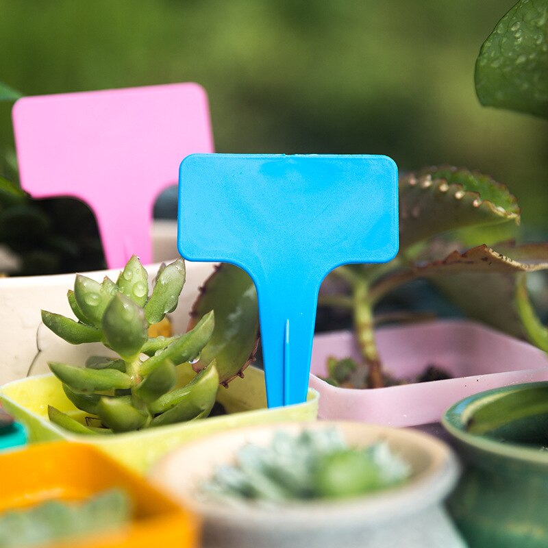 100Pcs Garden Plant Labels Plastic Plant Tags Nurs... – Grandado