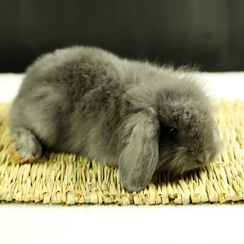 12 Packs of Rabbit Woven Bed Mats-Straw Mat Animal... – Vicedeal