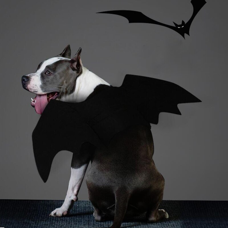 Gato de Halloween traje para Gatos Perros alas de ... – Grandado