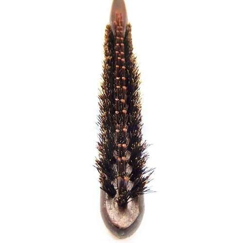 Pro Salon Backcombing Hair Up Volume Bristle Teasi... – Vicedeal