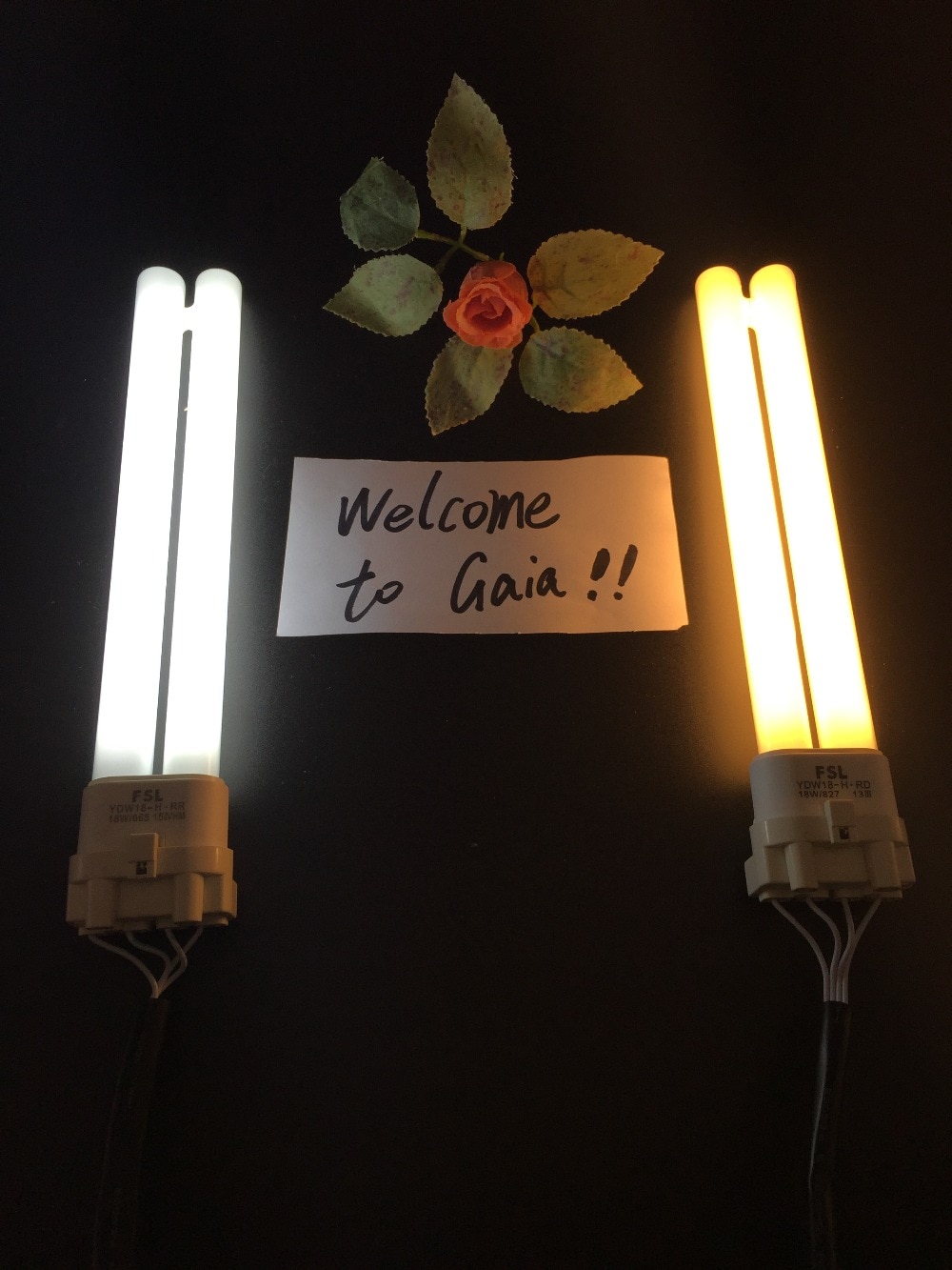 2-pack CFL Compact Fluorescent Linear Twin-Tube Li... – Grandado