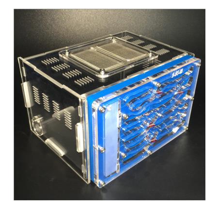 Ants Nest Acrylic Farm Ant Castle Insect Cage Ants... – Grandado