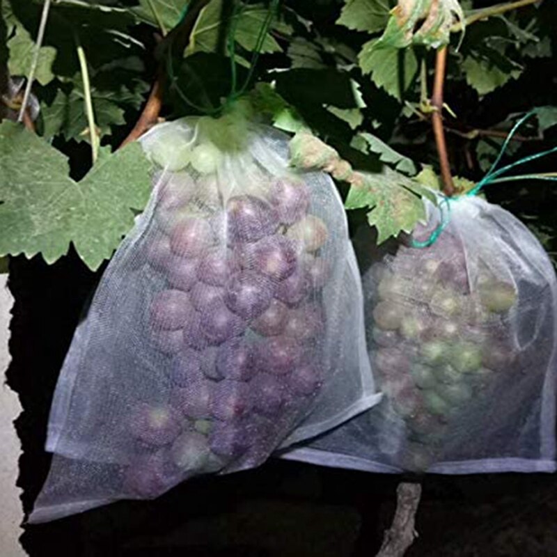 100pcs Bags Fruit Protection Bags Reusable Produce... – Grandado