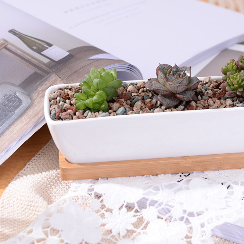 1 Set Minimalist Geometry White Ceramic Succulent ... – Grandado