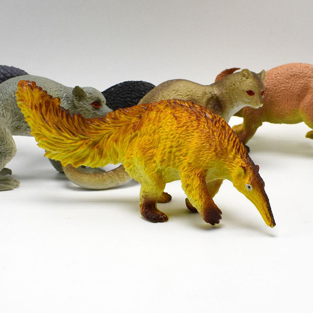 6Pcs Simulation Bobcat Anteater Wild Animal Model ... – Grandado
