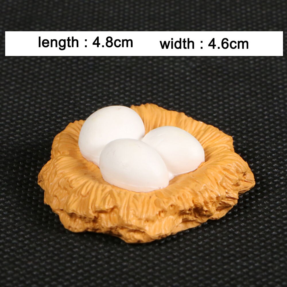 Simulation Animals Growth Cycle Life Model Set Ant... – Grandado