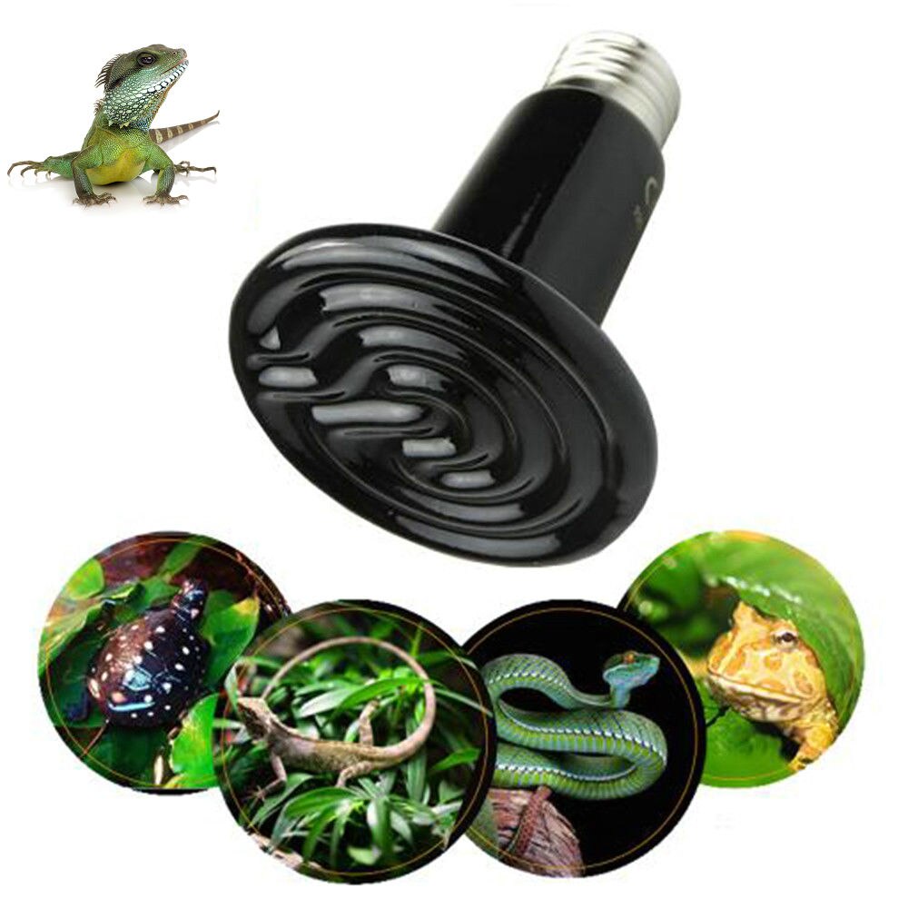 25-200W 220V Keramische Pet Warmte Licht Lamp Heat... – Grandado