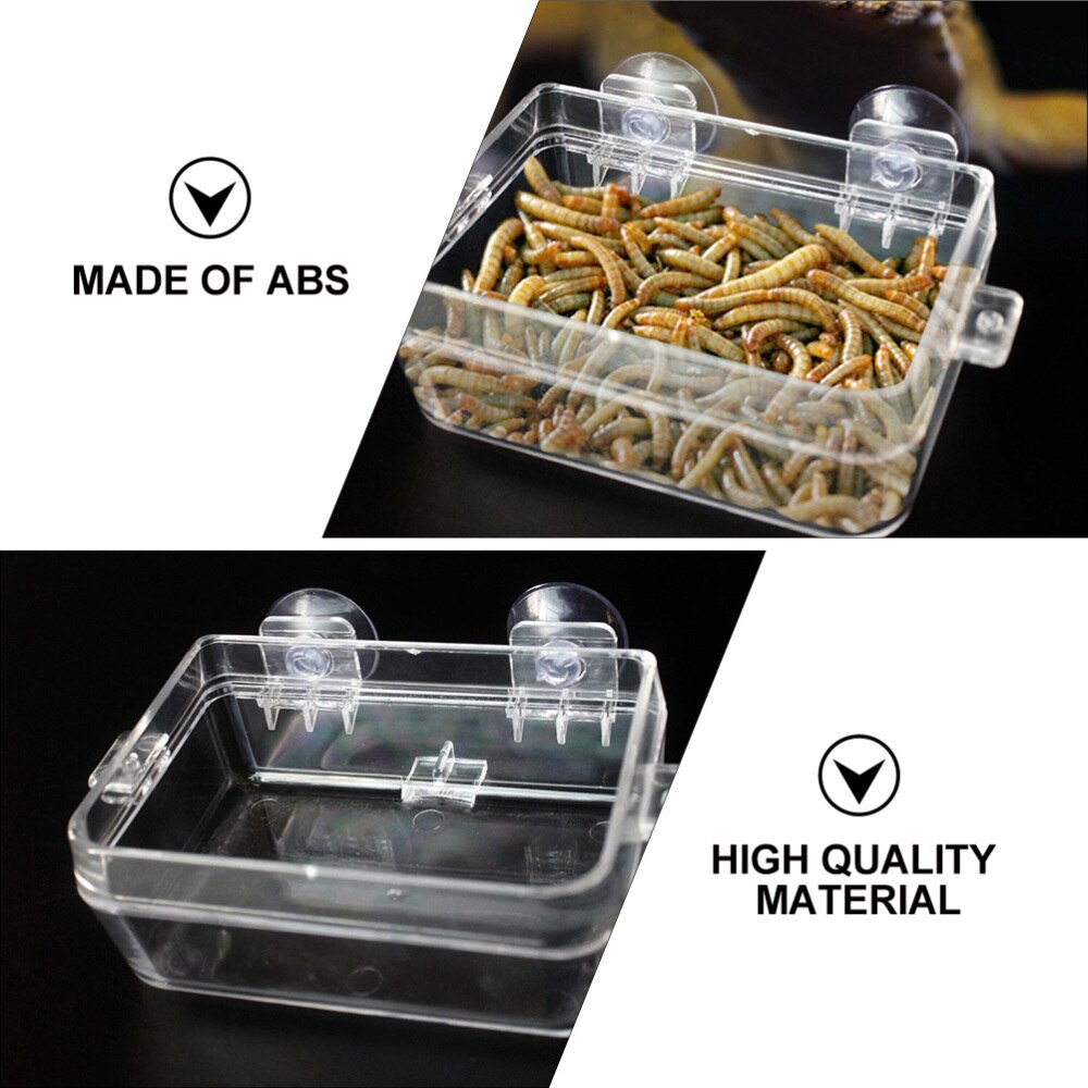 2pcs Reptile Food Container Dragon Beard Drinking ... – Vicedeal