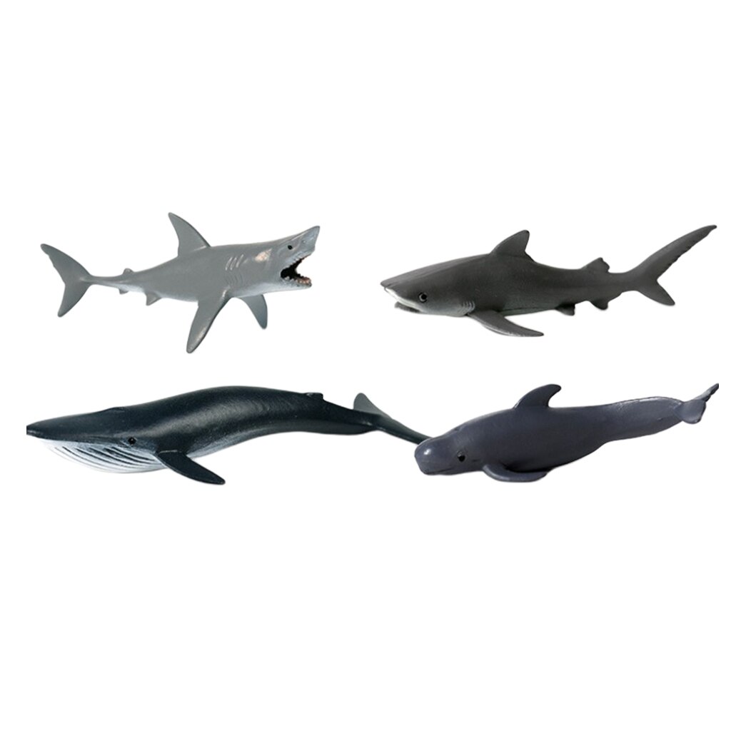 4 Pieces Realistic Nature Sea Life Animal Model Mi... – Grandado