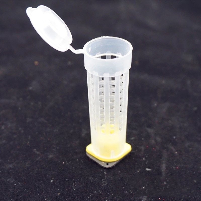 1PCS Bee Queen Cages Plastic Protective Cover Cage... – Grandado