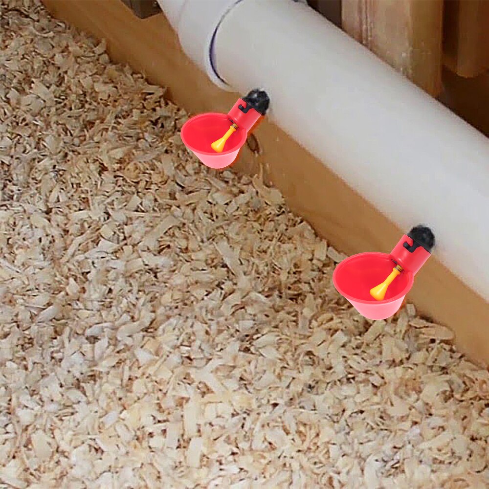 4Pcs/Set Automatic Chicken Quail Drinker Waterer b... – Grandado