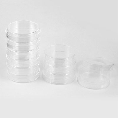 10 Pieces 90mm Diameter Cylinder Shape Clear Plast... – Grandado