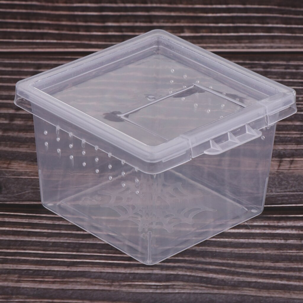 Free 10pcs Feeding Box Reptile Cage Hatching Conta... – Grandado