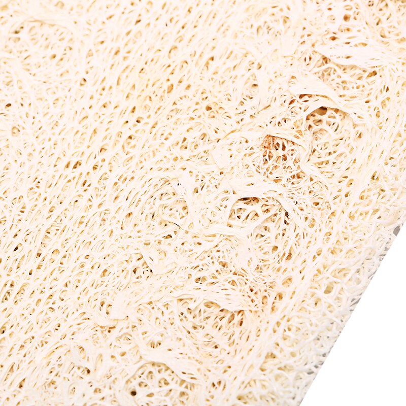1pc Natural Anti-oil Kitchen Loofah Sponge Scrubbe... – Grandado