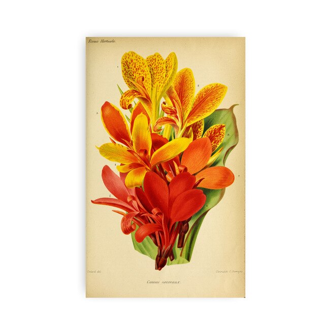 Vintage Botanical Floral Posters Art Prints Rustic... – Grandado