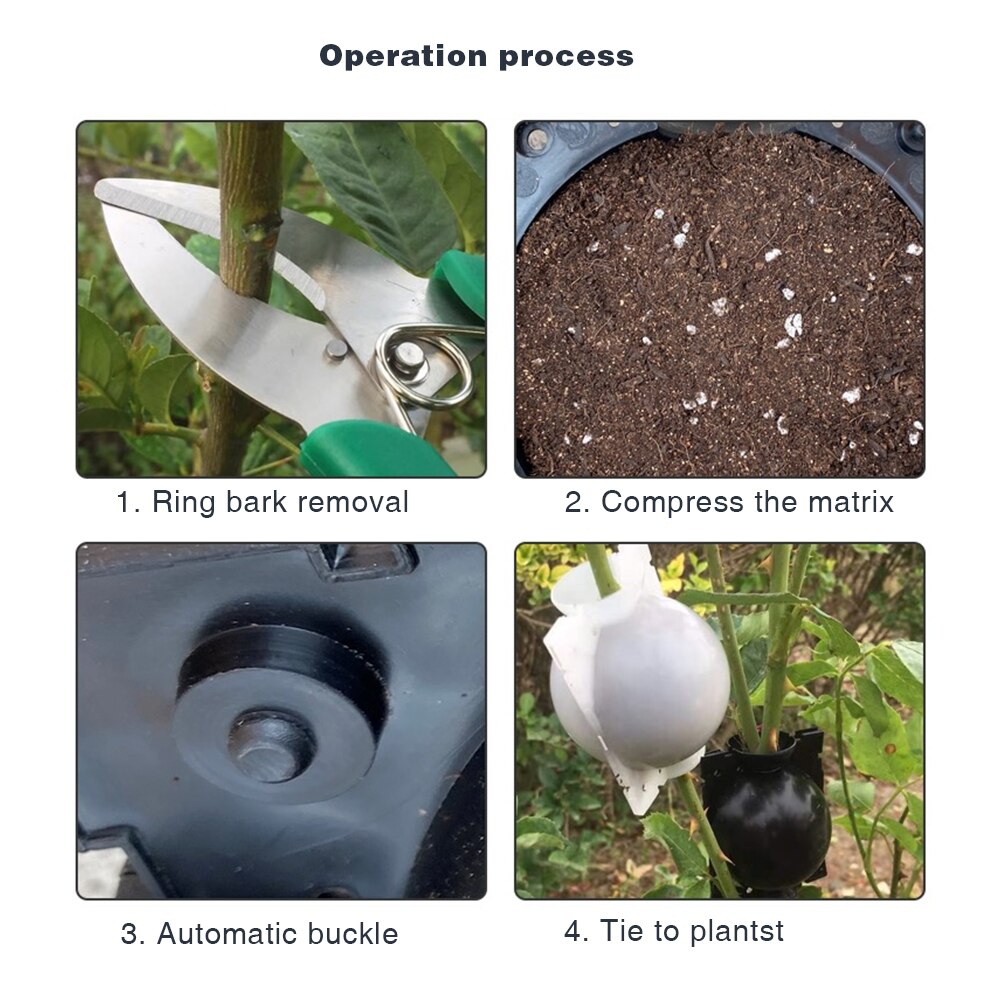 1pcs High Pressure Root Control Device Plant Graft... – Vicedeal