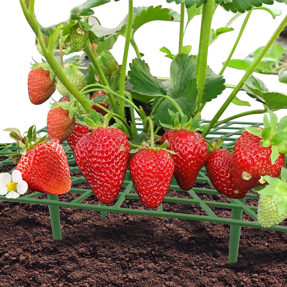 1 Pc Plastic Strawberry Stand Balcony Grow Vegetab... – Grandado