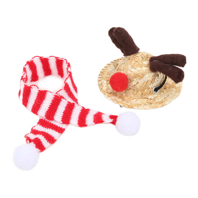 Lizard Christmas Costume Clothing Set Comfy Bearde... – Grandado