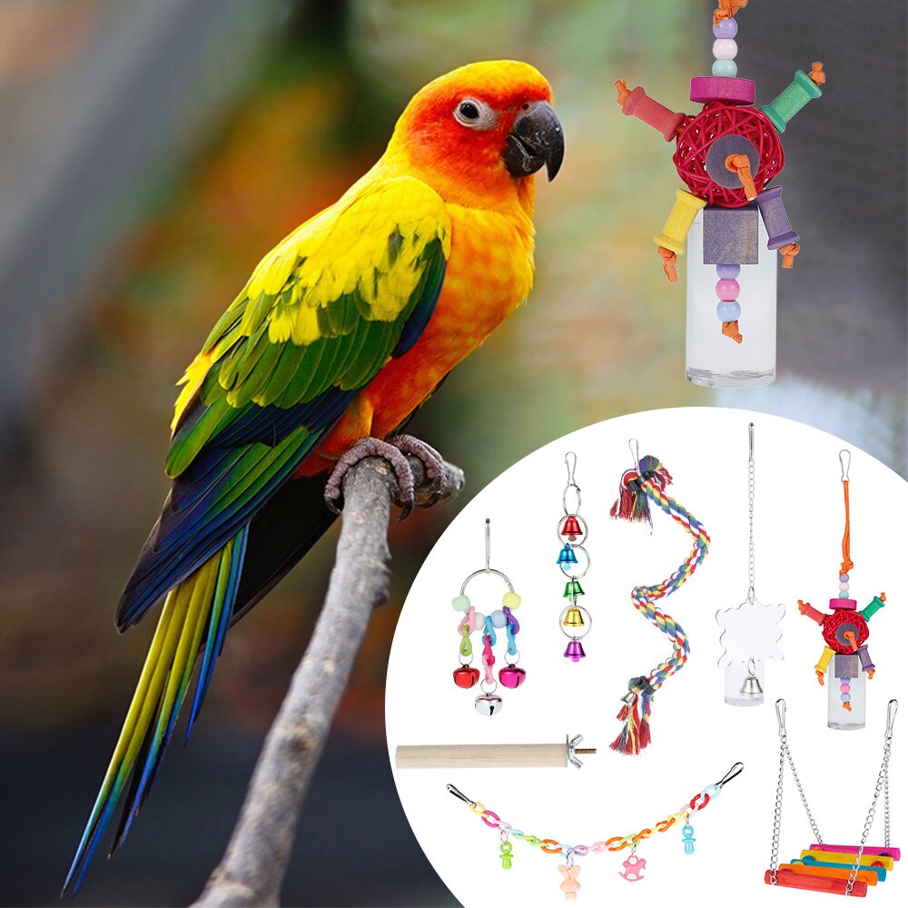 8pcs Parrot Toys Colorful Bird Swing Hanging Chewi... – Vicedeal