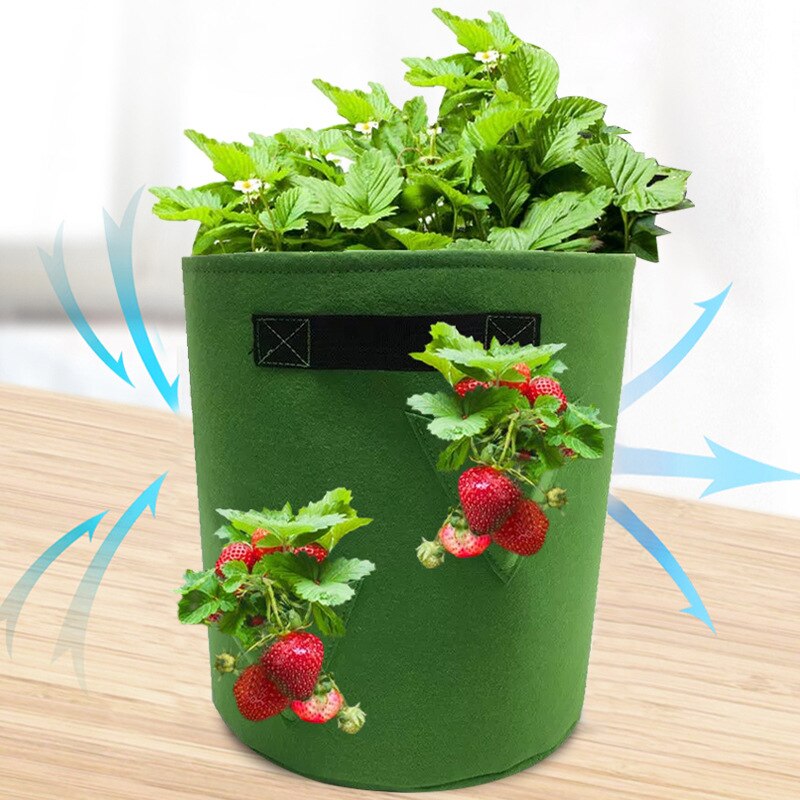 Felt strawberry planting bucket round opening plan... – Grandado