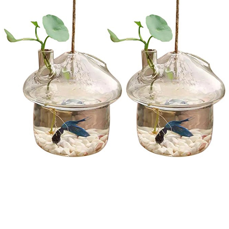 2X Paddestoelvormige Opknoping Glas Planter Vaas R... – Vicedeal