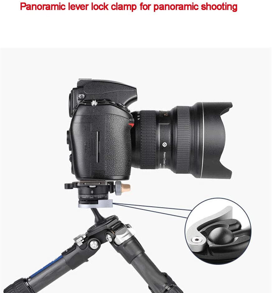 FotoBetter MBP-19 Tripod Head Mini Panoramic Ball ... – Grandado