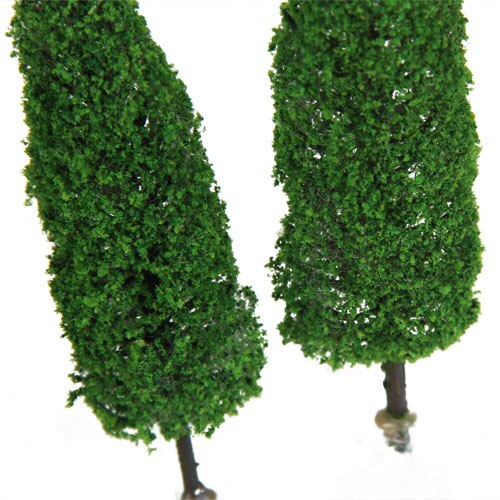 6 Mixed Height Cypress Model Trees Park Street Dio... – Grandado