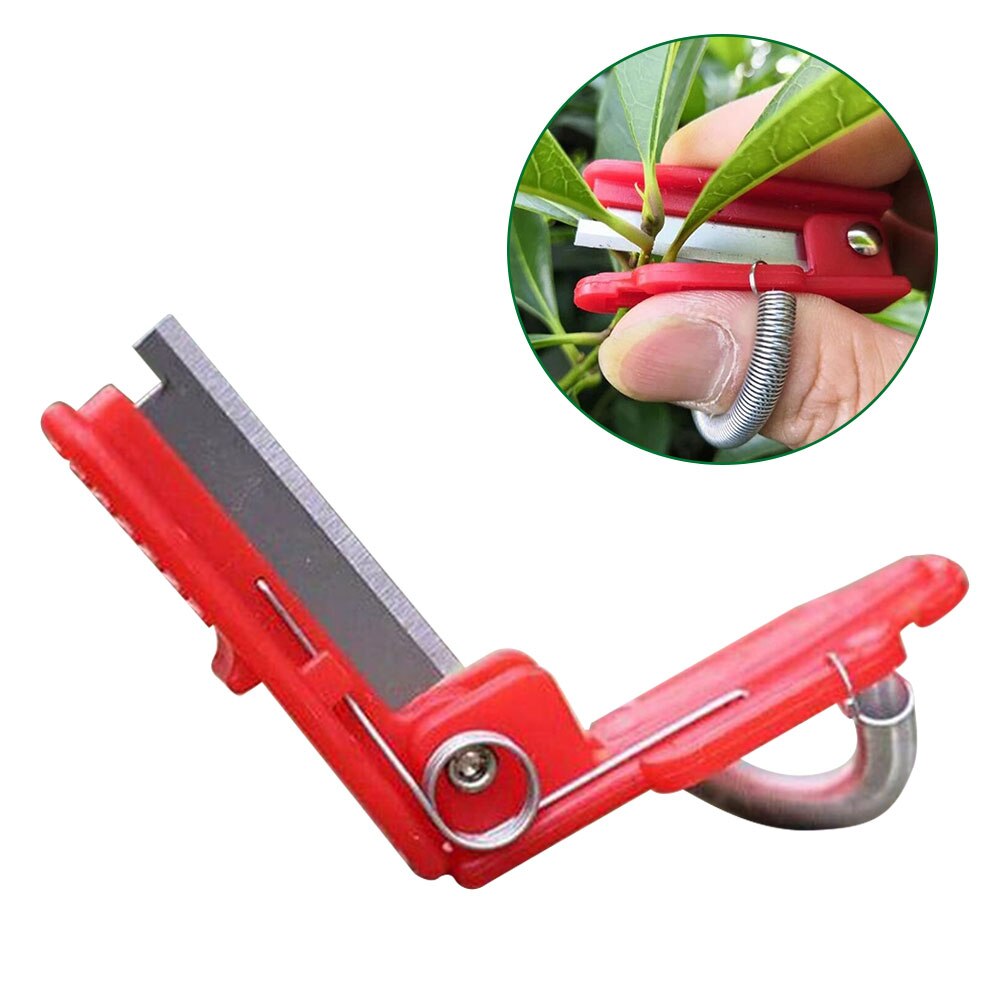 7cm Vegetable Picking Tool Garden Cutting Thump Kn... – Vicedeal