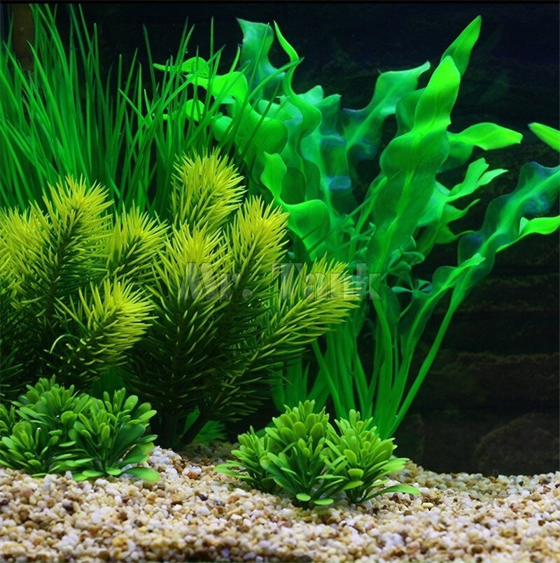 Mr.Tank 13pcs/set Aquarium Plants Package Plastic ... – Grandado