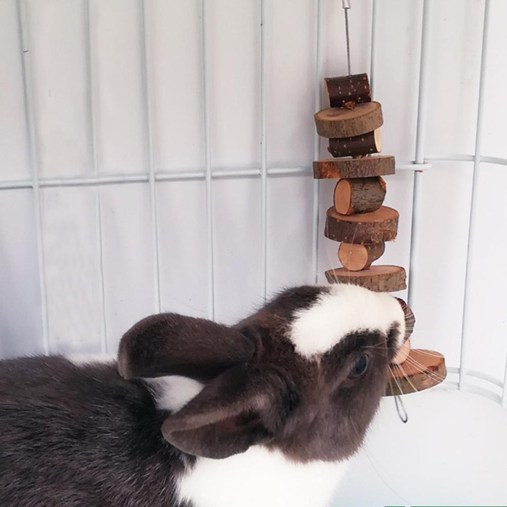 Hamster Chew Toys Natural Wooden Pine Guinea Pigs ... – Grandado