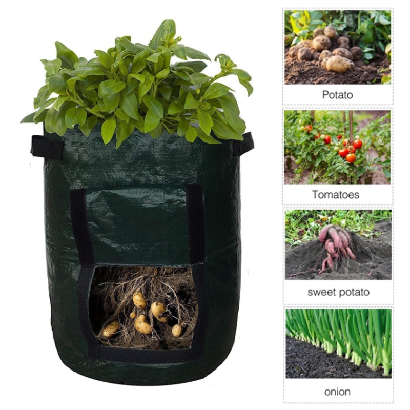 Potato Grow Bag PE Vegetable Onion Plant Bag with ... – Vicedeal