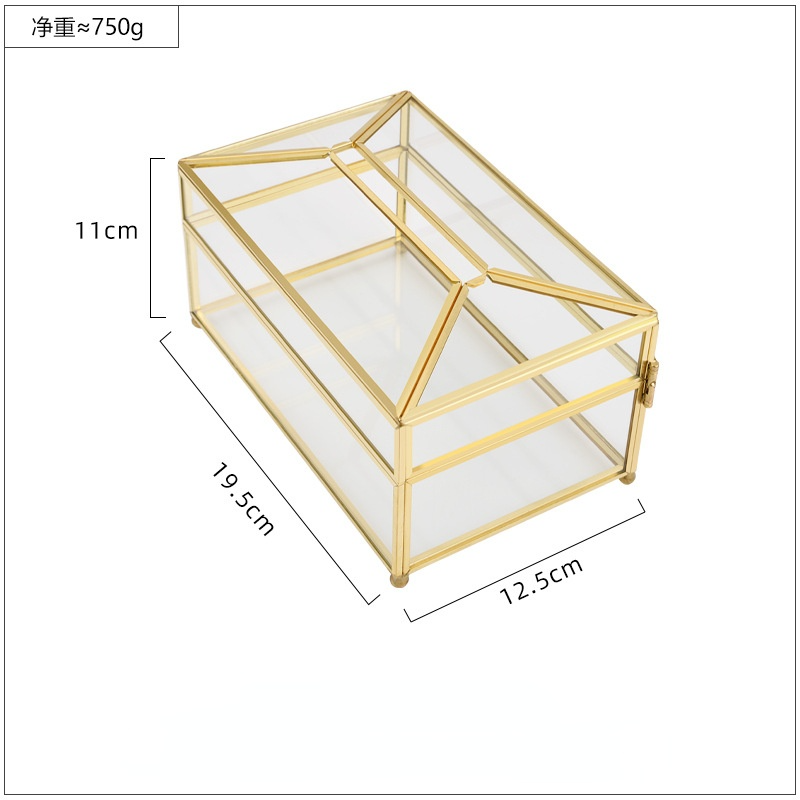 Glass Tissue Case Golden Brass Edging Pumping Tran... – Grandado
